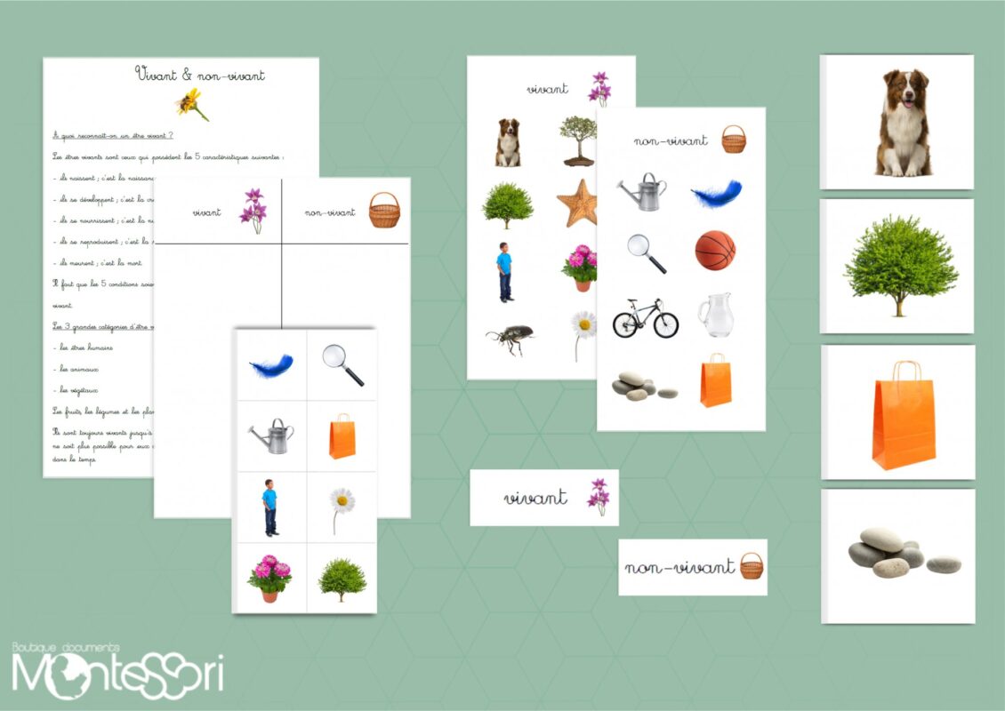 Vivant & non-vivant - BOUTIQUE DOCUMENTS MONTESSORI
