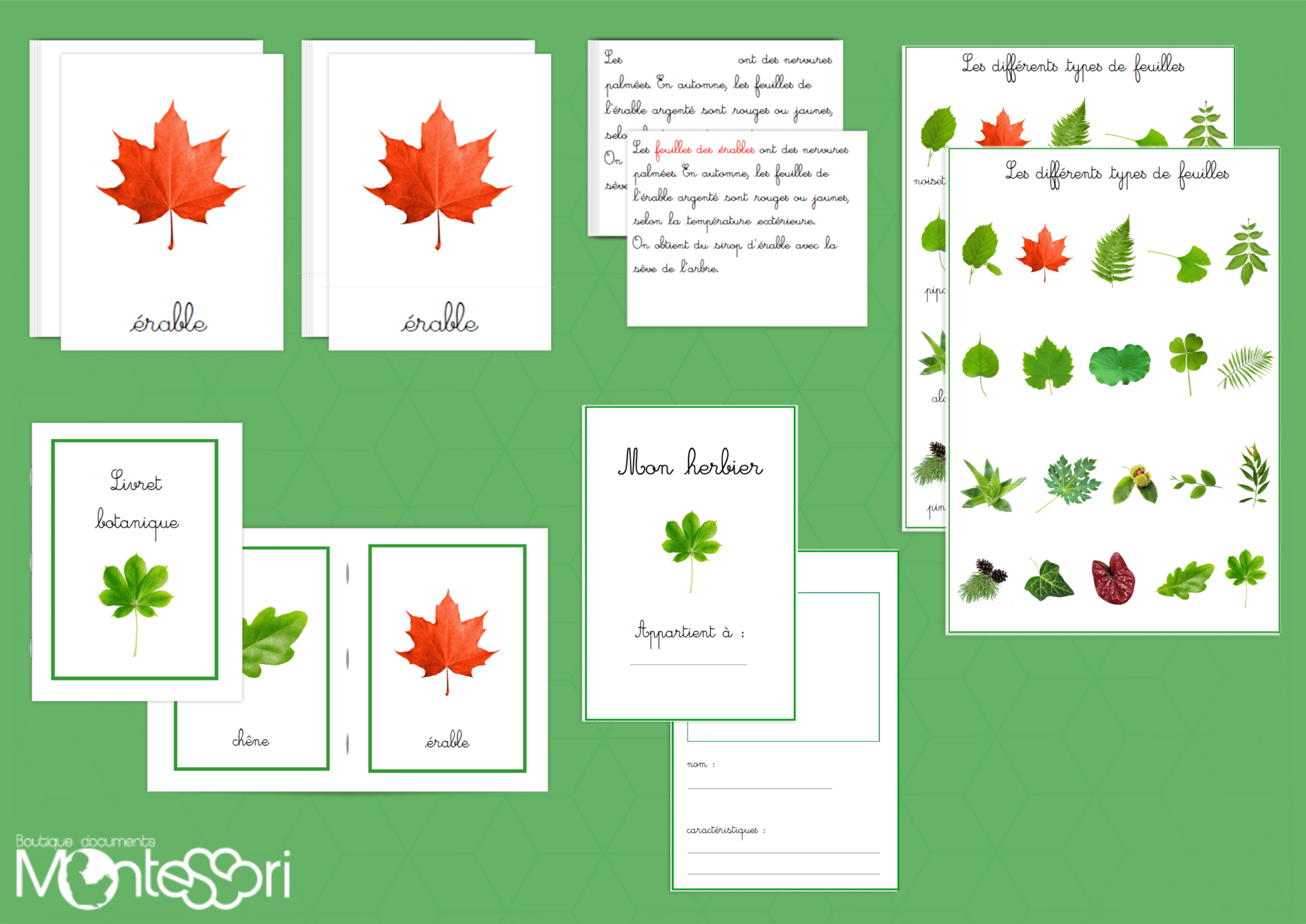 Nomenclature types de feuilles - BOUTIQUE DOCUMENTS MONTESSORI